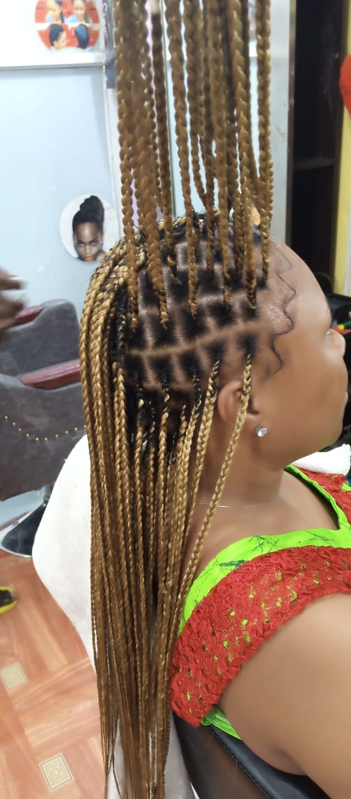 African Braids by Angela