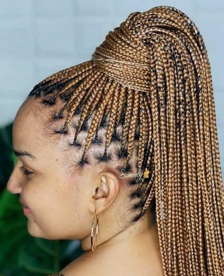 African Braids by Angela